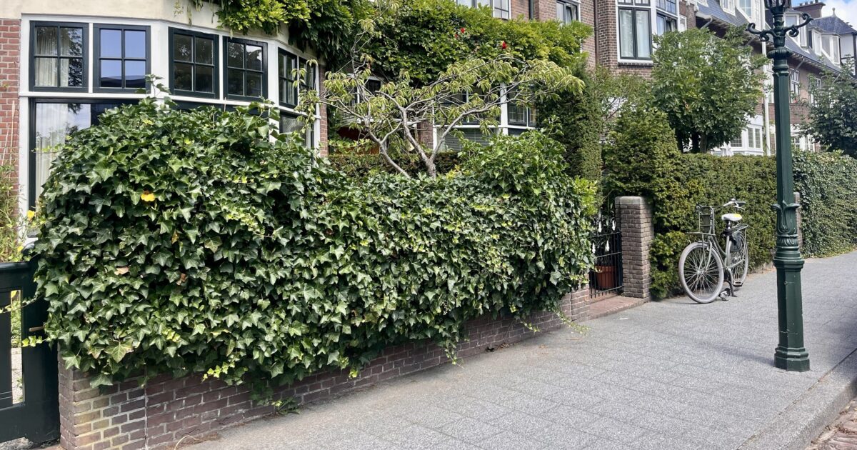 Geen hek, maar een heg: beter voor dieren en… | Duurzaam Den Haag